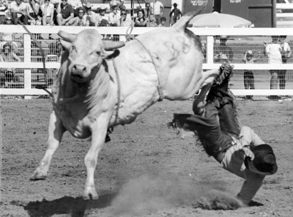 Flying High and Crash Landing: Bull Wrecks in Rodeo - National Cowboy ...