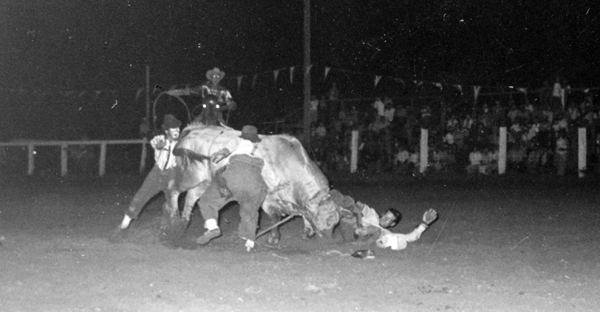 Flying High and Crash Landing: Bull Wrecks in Rodeo - National Cowboy ...