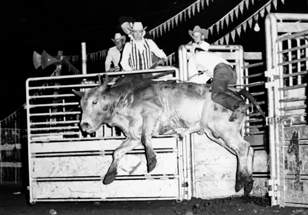 Flying High and Crash Landing: Bull Wrecks in Rodeo - National Cowboy ...
