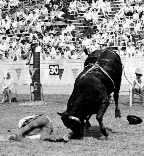 Flying High and Crash Landing: Bull Wrecks in Rodeo - National Cowboy ...