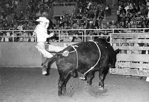 Flying High and Crash Landing: Bull Wrecks in Rodeo - National Cowboy ...