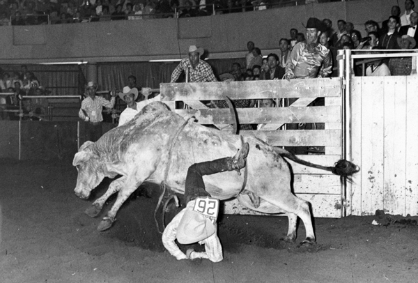 Flying High and Crash Landing: Bull Wrecks in Rodeo - National Cowboy ...