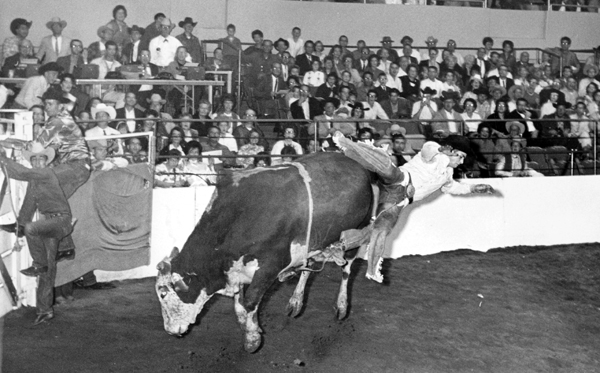 Flying High and Crash Landing: Bull Wrecks in Rodeo - National Cowboy ...