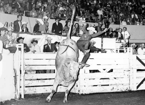 Flying High and Crash Landing: Bull Wrecks in Rodeo - National Cowboy ...