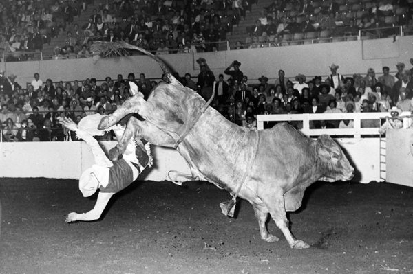 Flying High and Crash Landing: Bull Wrecks in Rodeo - National Cowboy ...