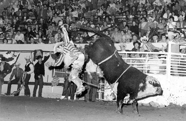 Flying High and Crash Landing: Bull Wrecks in Rodeo - National Cowboy ...