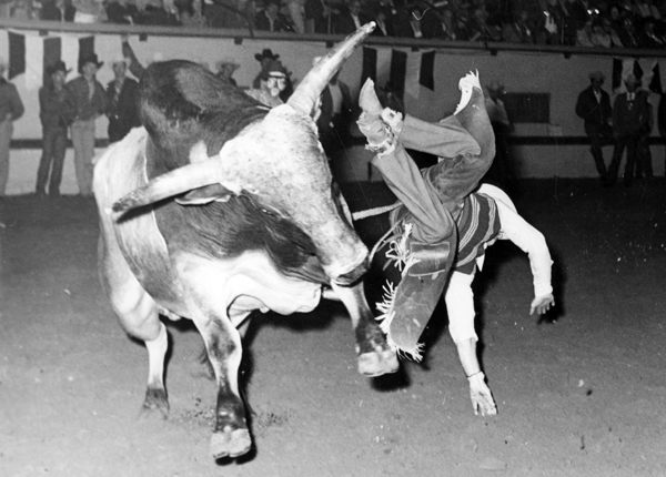 Flying High and Crash Landing: Bull Wrecks in Rodeo - National Cowboy ...