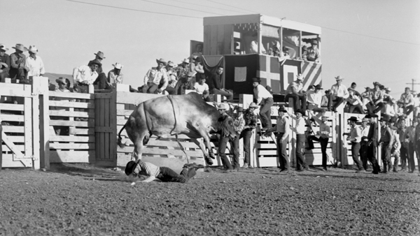 Flying High and Crash Landing: Bull Wrecks in Rodeo - National Cowboy ...
