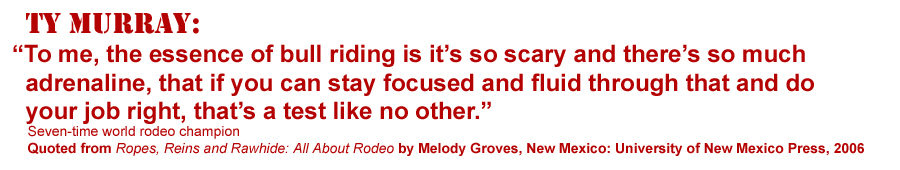 Flying High and Crash Landing: Bull Wrecks in Rodeo - National Cowboy ...