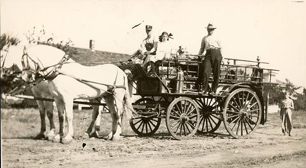 Horse Drawn Carriage 1900