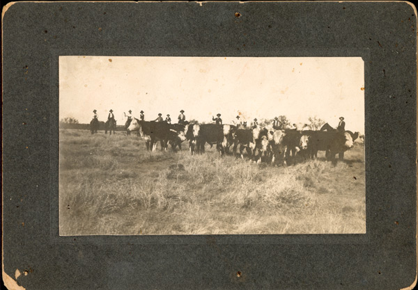 Like a Cowboy: Imagery in Politics, Prose and Reality - National Cowboy ...