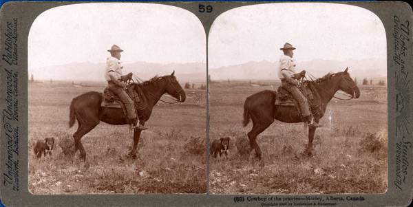 Like a Cowboy: Imagery in Politics, Prose and Reality - National Cowboy ...