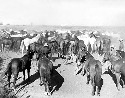 Tom Ryan & The 6666 Ranch of King County, Texas - National Cowboy ...