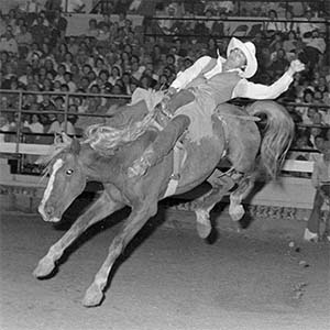 Dave Appleton - National Rodeo Hall of Fame - National Cowboy & Western ...