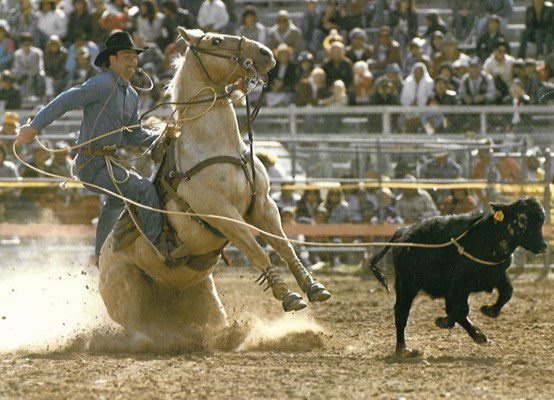Clark, Doug - Ben Johnson Memorial Award - National Cowboy & Western ...
