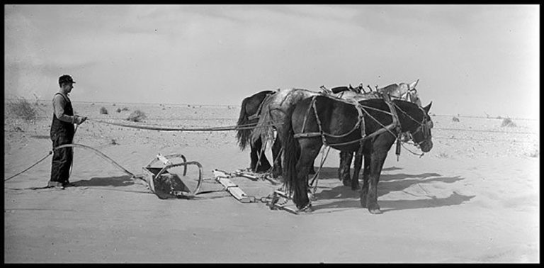Surviving the Dust Bowl - National Cowboy & Western Heritage Museum