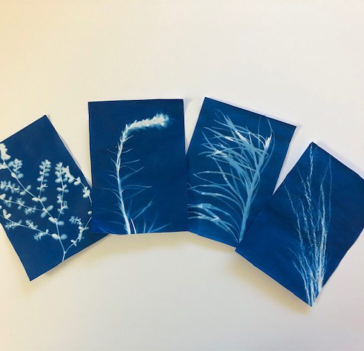 Summer Drop-In Activities: Sunprints - National Cowboy & Western ...