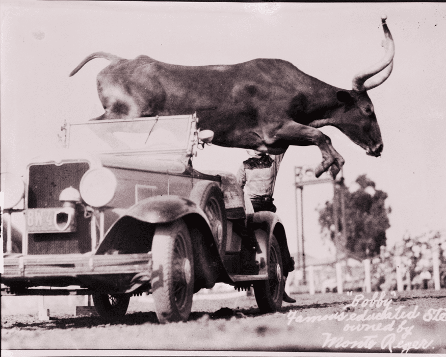 Blog - National Cowboy & Western Heritage Museum